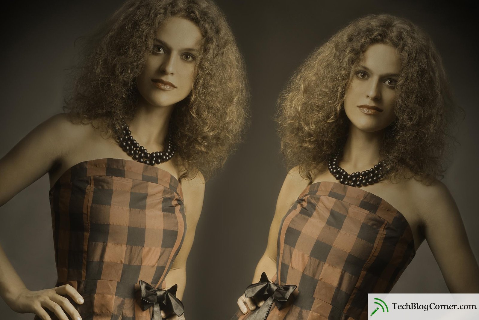  How To Mirror An Image In Photoshop CC 5 Mins TechBlogCorner